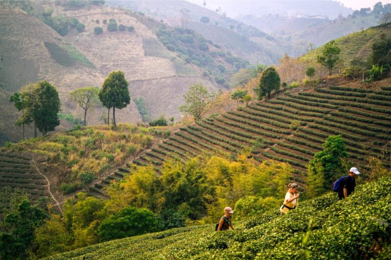 The best day hikes in Chiang Rai - Sawasdee