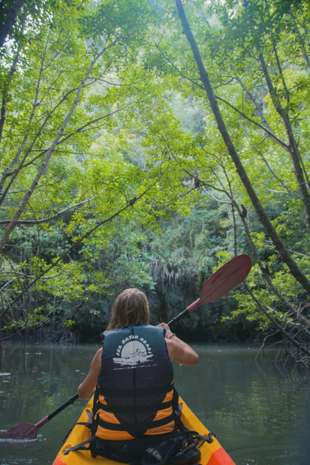 Kayaking with monkeys in Ao Thalane, Krabi - Sawasdee