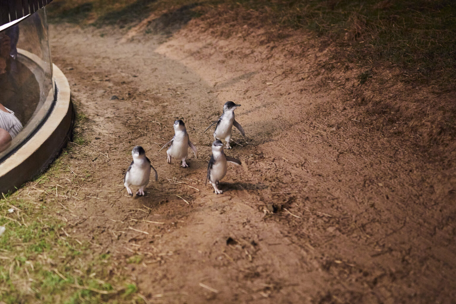 7 ways to get outdoors in and around Melbourne - Sawasdee