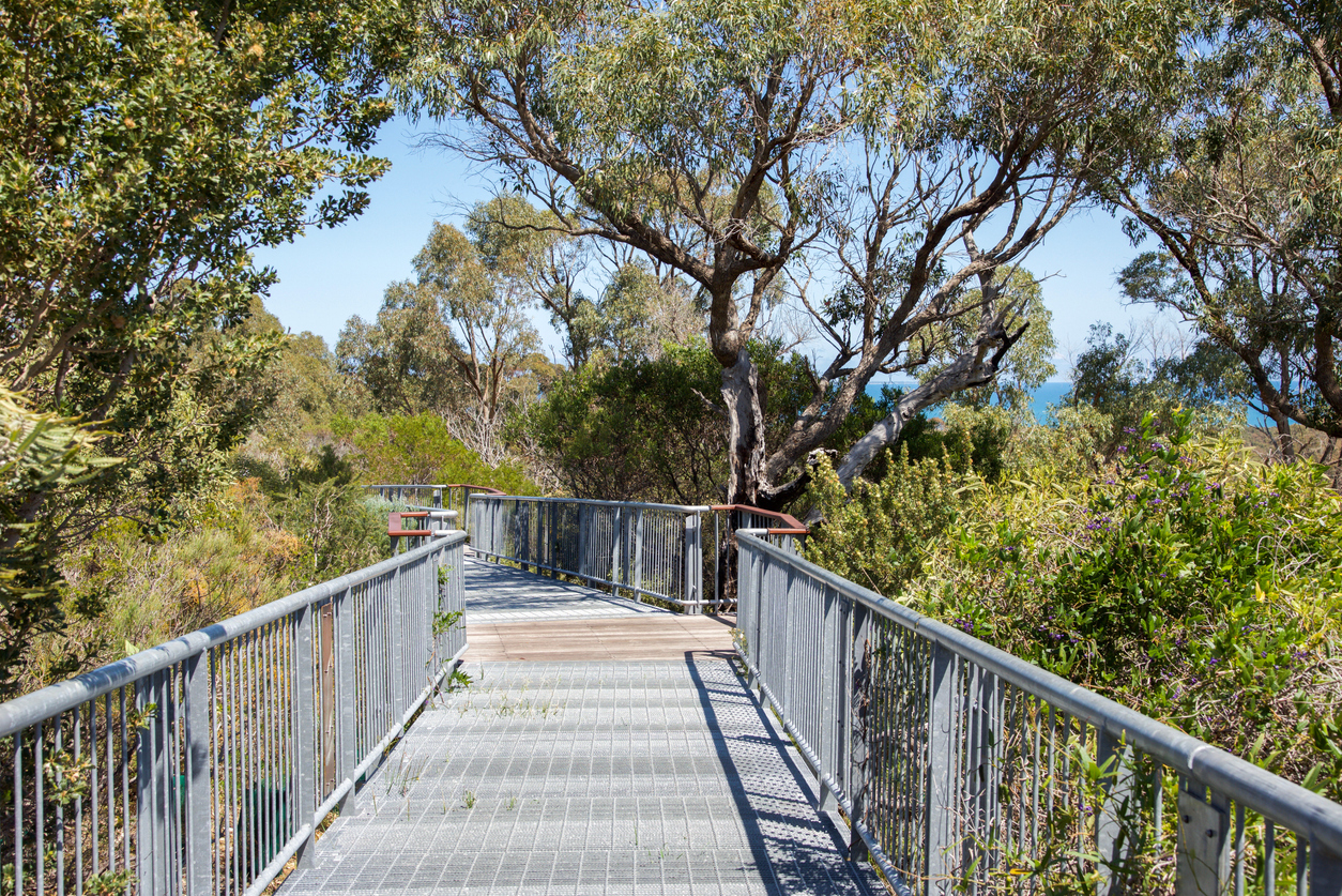 Tips for exploring wildflowers in Perth - Sawasdee