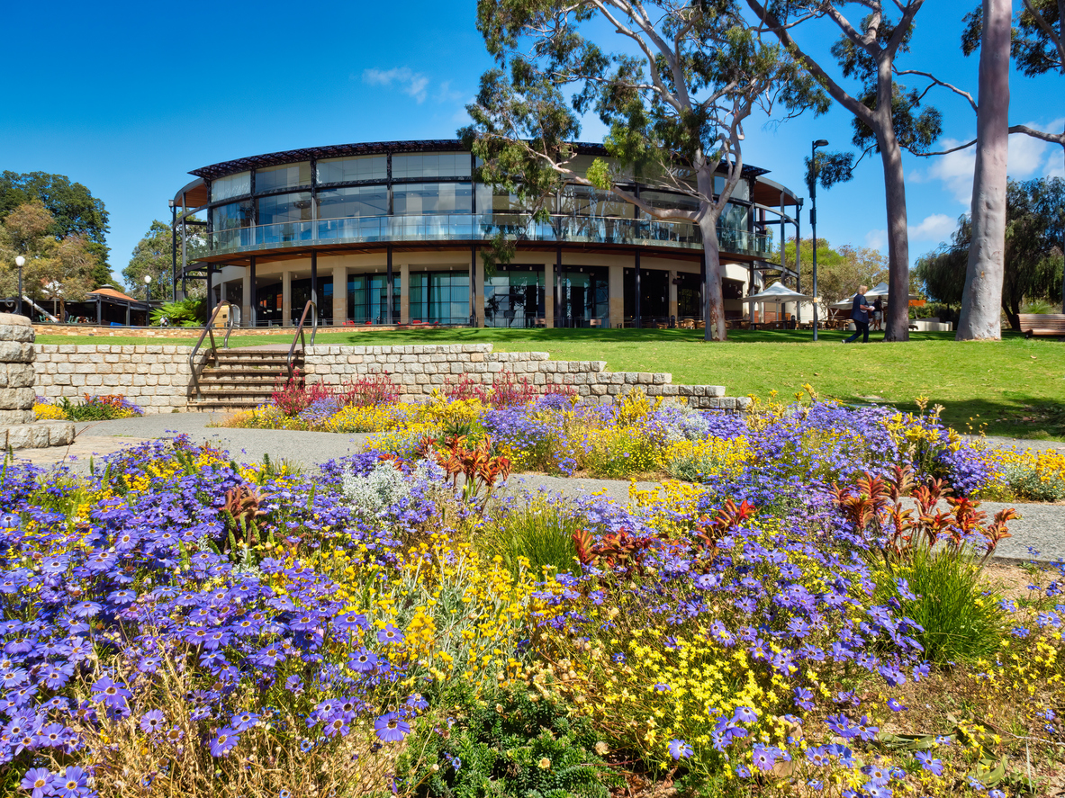 Tips for exploring wildflowers in Perth - Sawasdee